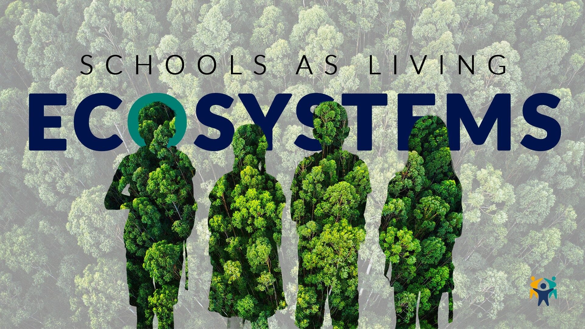 Reimagining Schools as Living Ecosystems | IPA